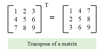 Input format